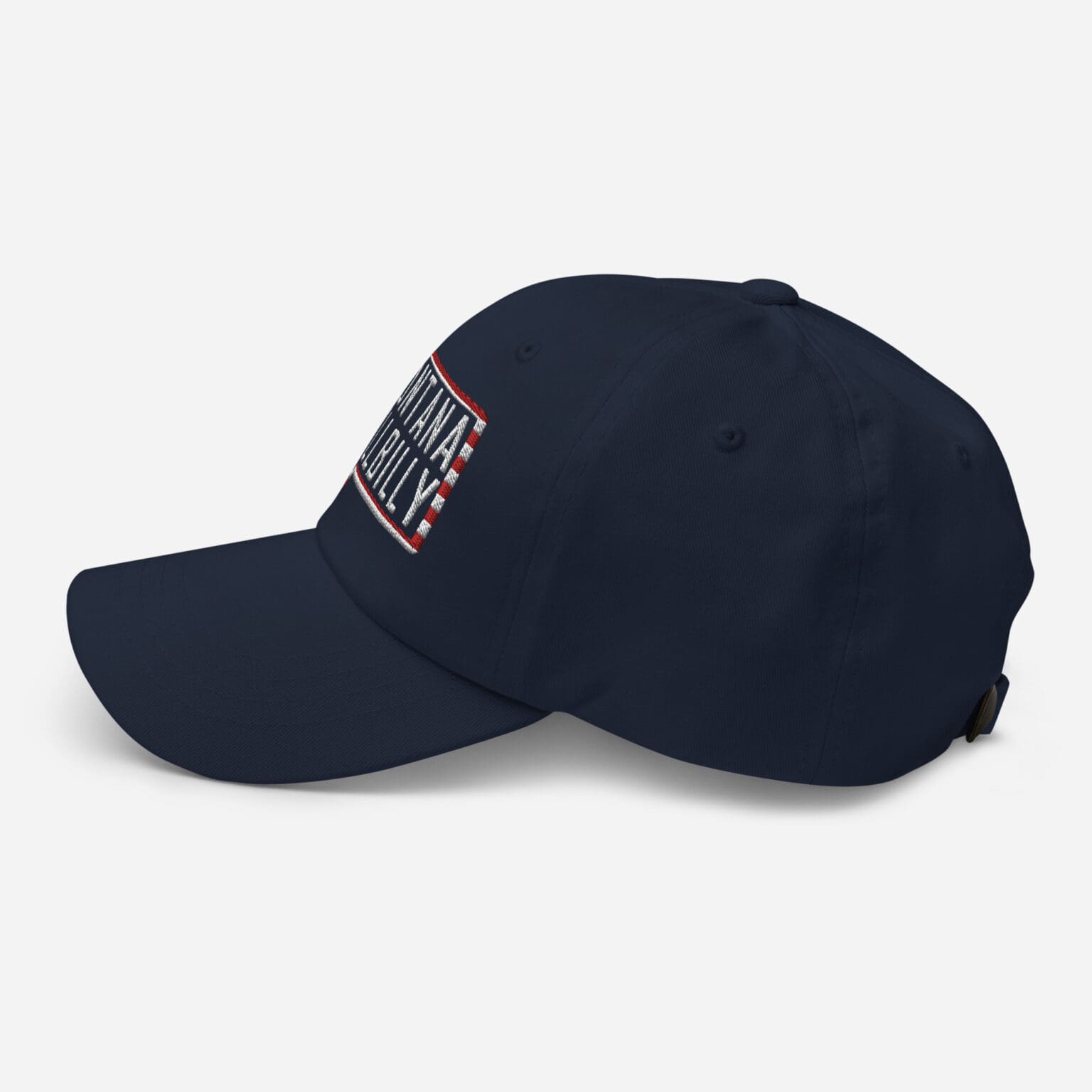 MONTANA HILLBILLY Funny American Redneck Humor Dad hat - My Patriots Closet